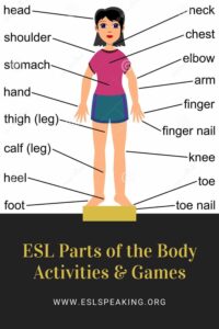 Body Parts ESL Games, Activities, Lesson Plans | Parts of the Body