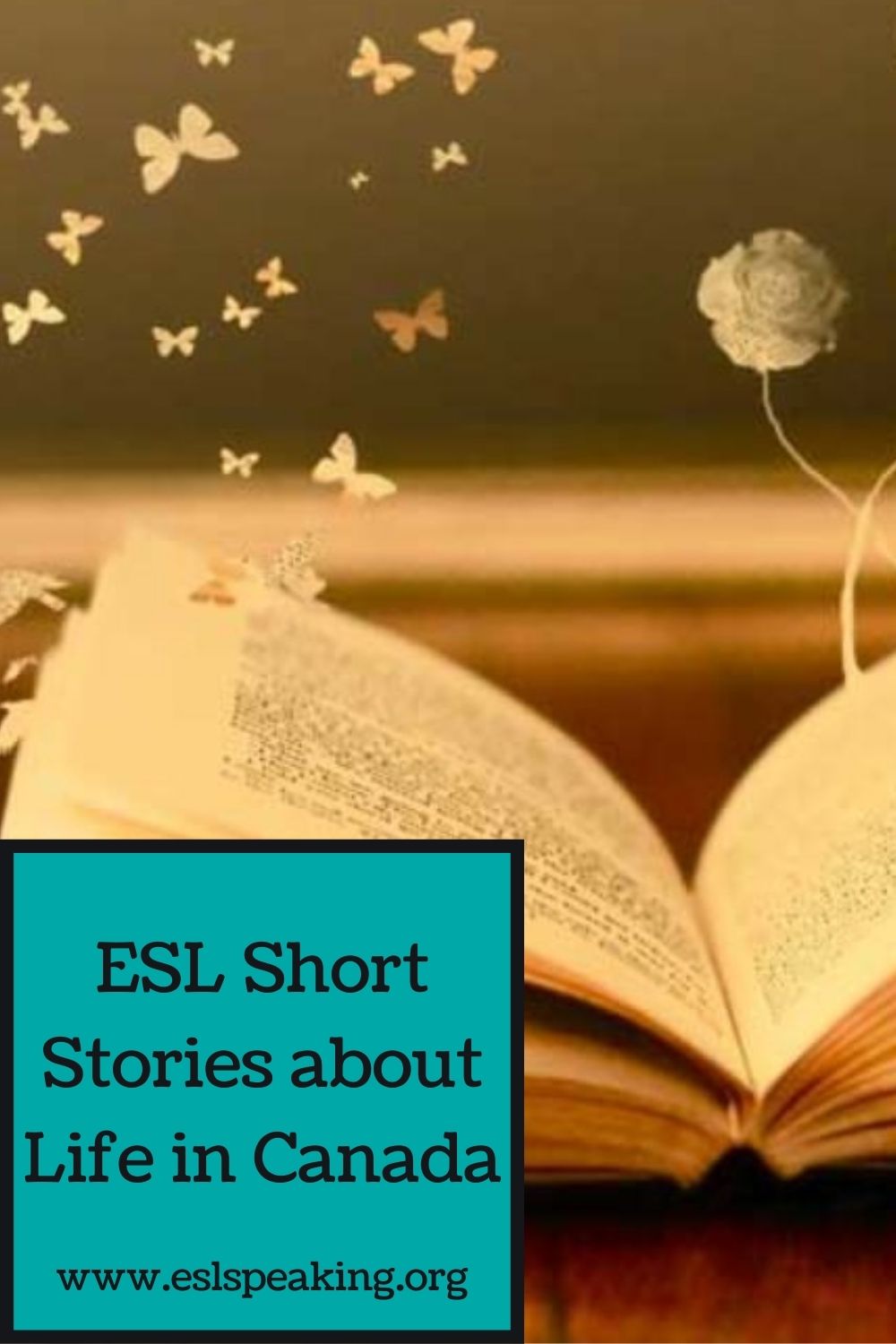 ESL Reading Comprehension Short Stories For English Learners