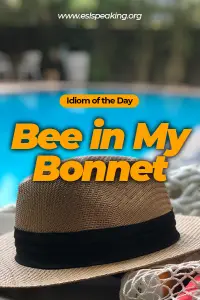 English Idiom: Bee in Your Bonnet Meaning, Origin, Examples