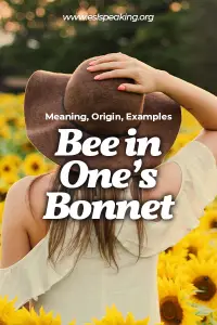 English Idiom: Bee in Your Bonnet Meaning, Origin, Examples
