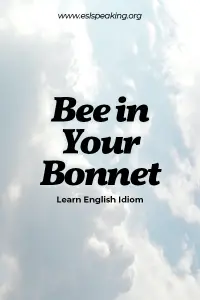 English Idiom: Bee in Your Bonnet Meaning, Origin, Examples