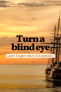 Turning a Blind Eye Meaning, Examples & Origin | English Idiom