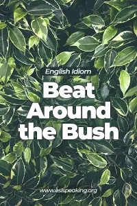 Beat Around the Bush Meaning, Origin & Examples | English Idiom