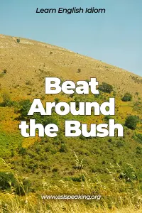 Beat Around the Bush Meaning, Origin & Examples | English Idiom