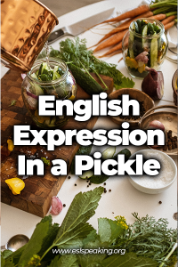 In a Pickle Meaning, Origin, Examples | Learn English Idiom