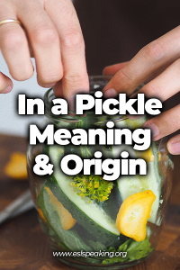 In a Pickle Meaning, Origin, Examples | Learn English Idiom