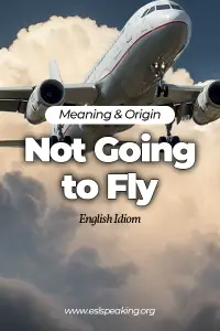English Idiom: Not Going to Fly Meaning, Origin, Examples