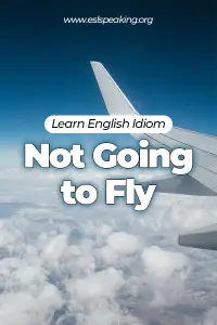 English Idiom: Not Going to Fly Meaning, Origin, Examples