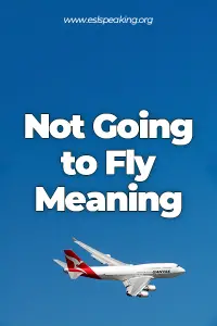 English Idiom: Not Going to Fly Meaning, Origin, Examples