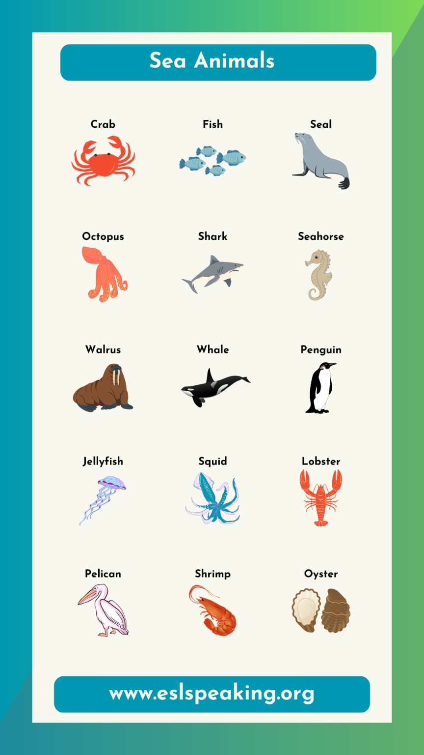 Sea Animals List (with Pictures) | Names of Ocean Creatures