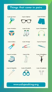 What Comes in Pairs? List in English of Things that Come in Pairs