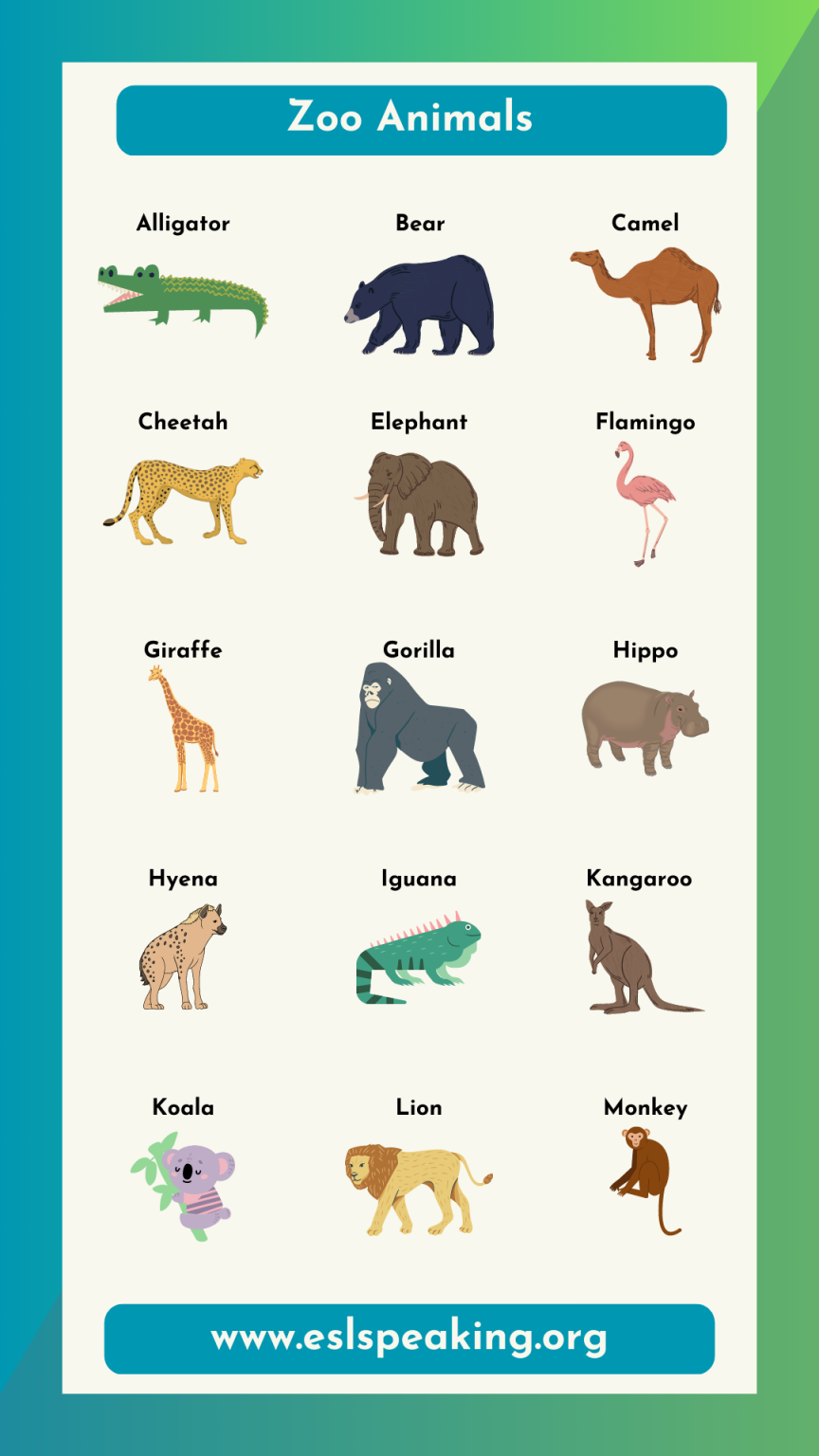 Animals at the Zoo List: Names, Pictures, Facts & More - ESL Speaking