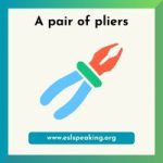 What Comes in Pairs? List in English of Things that Come in Pairs
