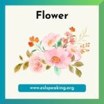 Names of Trees and Plants in English | All Plants Names