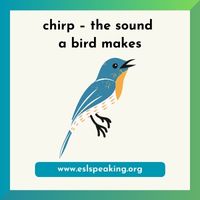 Animals and their Sounds (List & Pictures) | Animal Onomatopoeia
