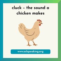 Animals and their Sounds (List & Pictures) | Animal Onomatopoeia