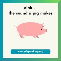 Animals and their Sounds (List & Pictures) | Animal Onomatopoeia