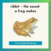 Animals and their Sounds (List & Pictures) | Animal Onomatopoeia