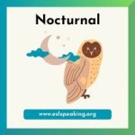 Describing Words that Start with N ("N" Adjectives) - ESL Speaking