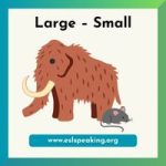 List of Antonyms with Pictures and Example Sentences