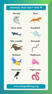 Animals that Start With N (List with Pictures of N Animals) - ESL Speaking