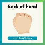Parts of the Hand: Finger Names in English with Pictures