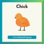 List of Domestic Animal Names Including Farm Animals and Pets