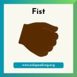 Parts of the Hand: Finger Names in English with Pictures