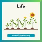 200+ Common Four Letter Words in English from A to Z