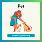 The Most Common Three Letter Words in English with Pictures