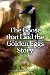 The Goose that Laid the Golden Eggs: Moral Story Reading Activity