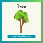 200+ Common Four Letter Words in English from A to Z