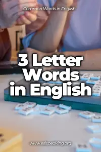 The Most Common Three Letter Words in English with Pictures