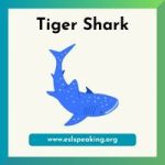 Animals that Start with the Letter T (Pictures and Interesting Facts)