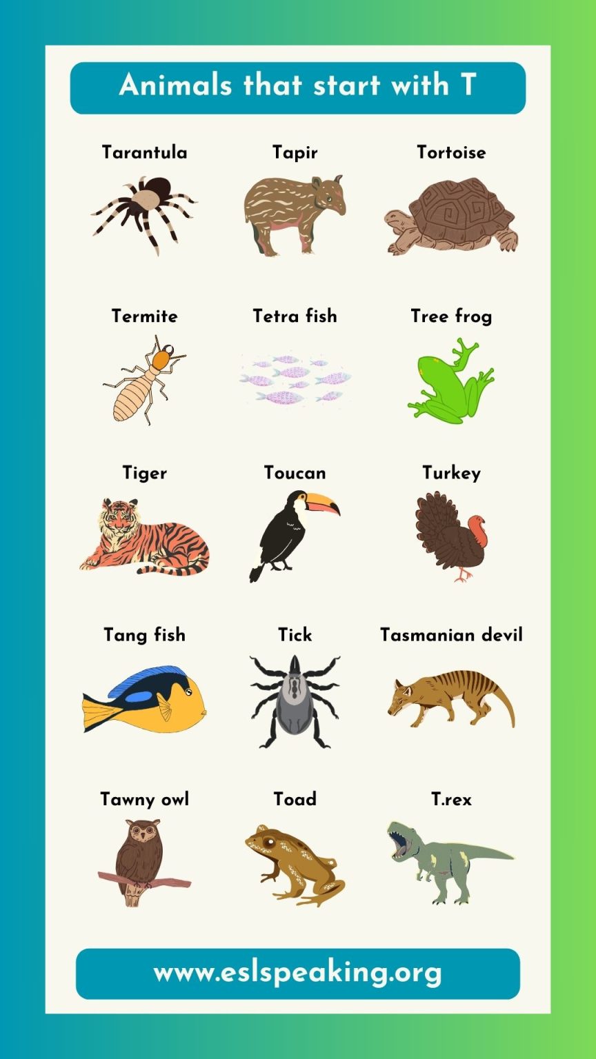 Animals that Start with the Letter T (Pictures and Interesting Facts)