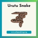 Animals that Start with the Letter U (Pictures and Interesting Facts)