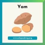 Words Starting with Y | English Vocabulary List with Pictures