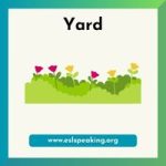 Words Starting with Y | English Vocabulary List with Pictures