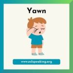 Words Starting with Y | English Vocabulary List with Pictures