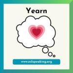 Words Starting with Y | English Vocabulary List with Pictures