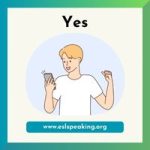 Words Starting with Y | English Vocabulary List with Pictures