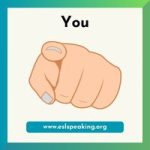 Words Starting with Y | English Vocabulary List with Pictures