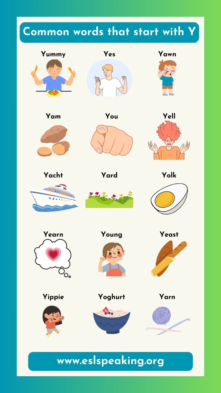 Words Starting with Y | English Vocabulary List with Pictures